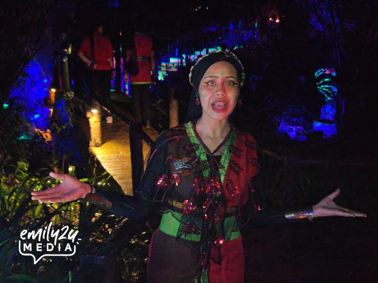 3 Luminous Forest | From Emily To You