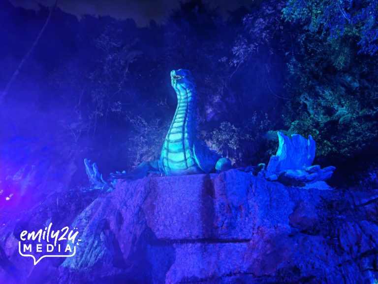 8 Luminous Forest | From Emily To You