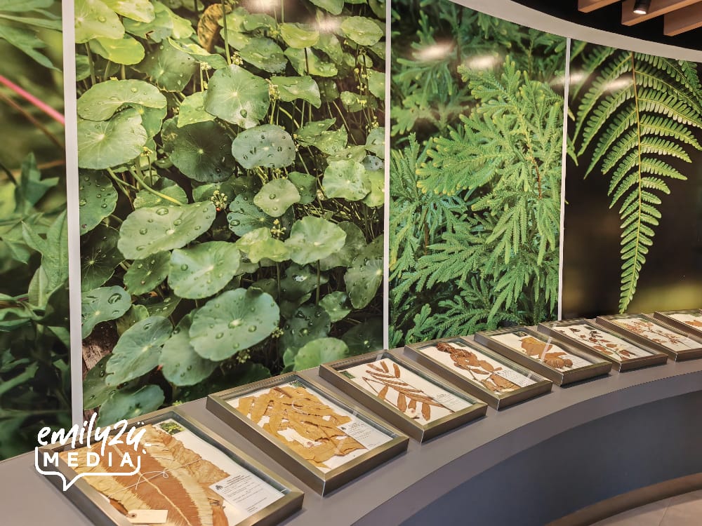 Kuala Lumpur’s Green Jewel: Perdana Botanical Garden | From Emily To You