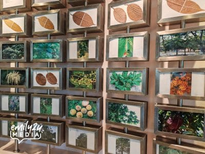 Kuala Lumpur’s Green Jewel: Perdana Botanical Garden | From Emily To You